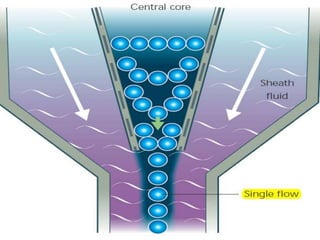 Automated cell counters | PPT