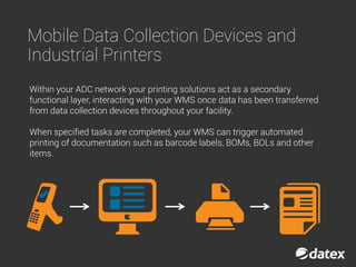 Automated Data Collection & WMS: Empowering Your Operation With Real ...