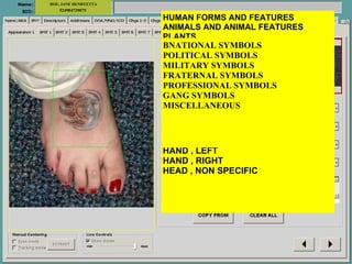 Automated Fingerprint Identification Systems | PPT