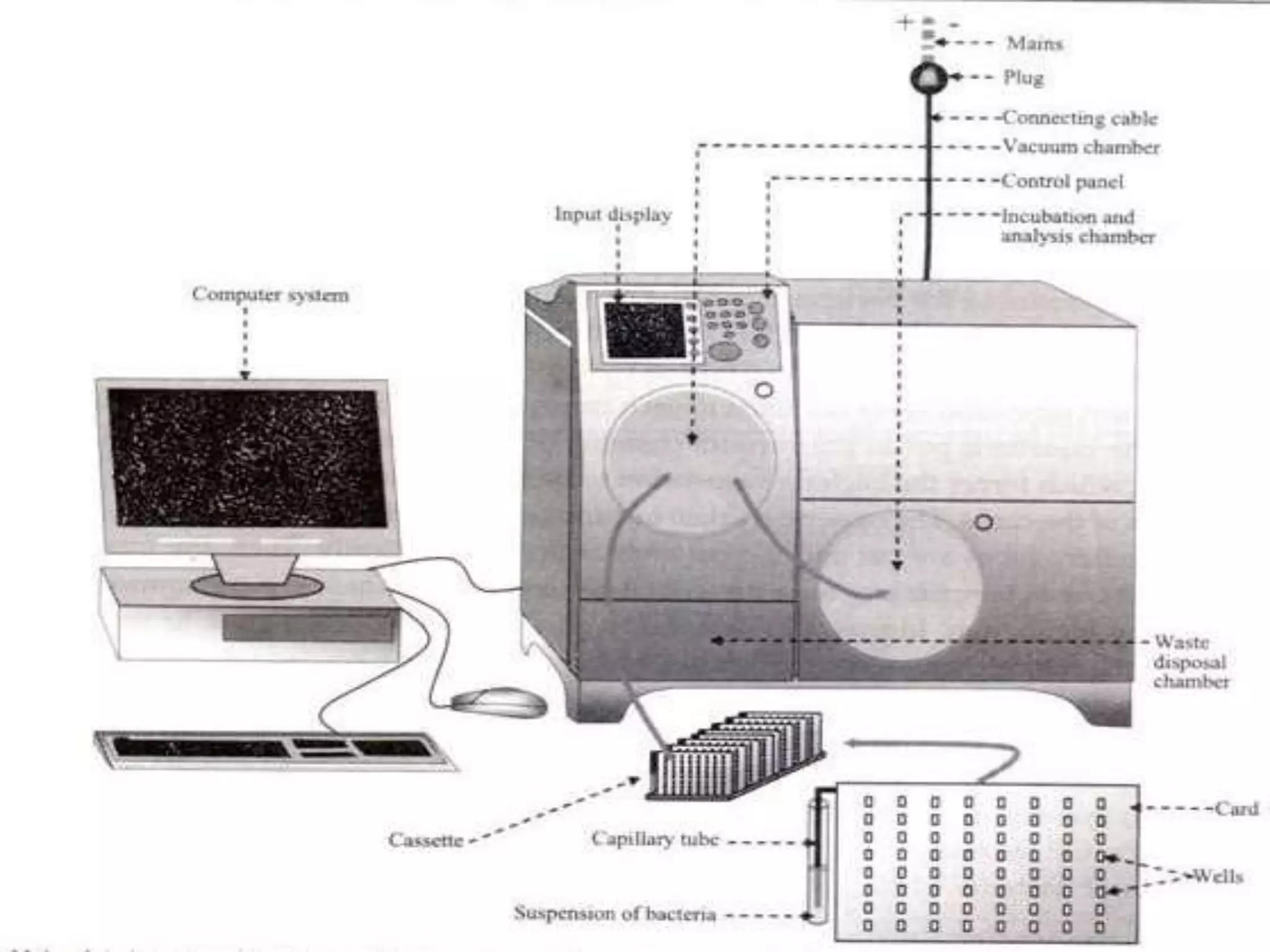 Automated microbial identification system | PPTX