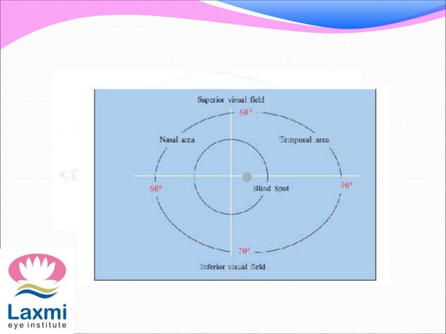 Automated perimetry | PPTX | Eye and Vision Conditions | Diseases and ...