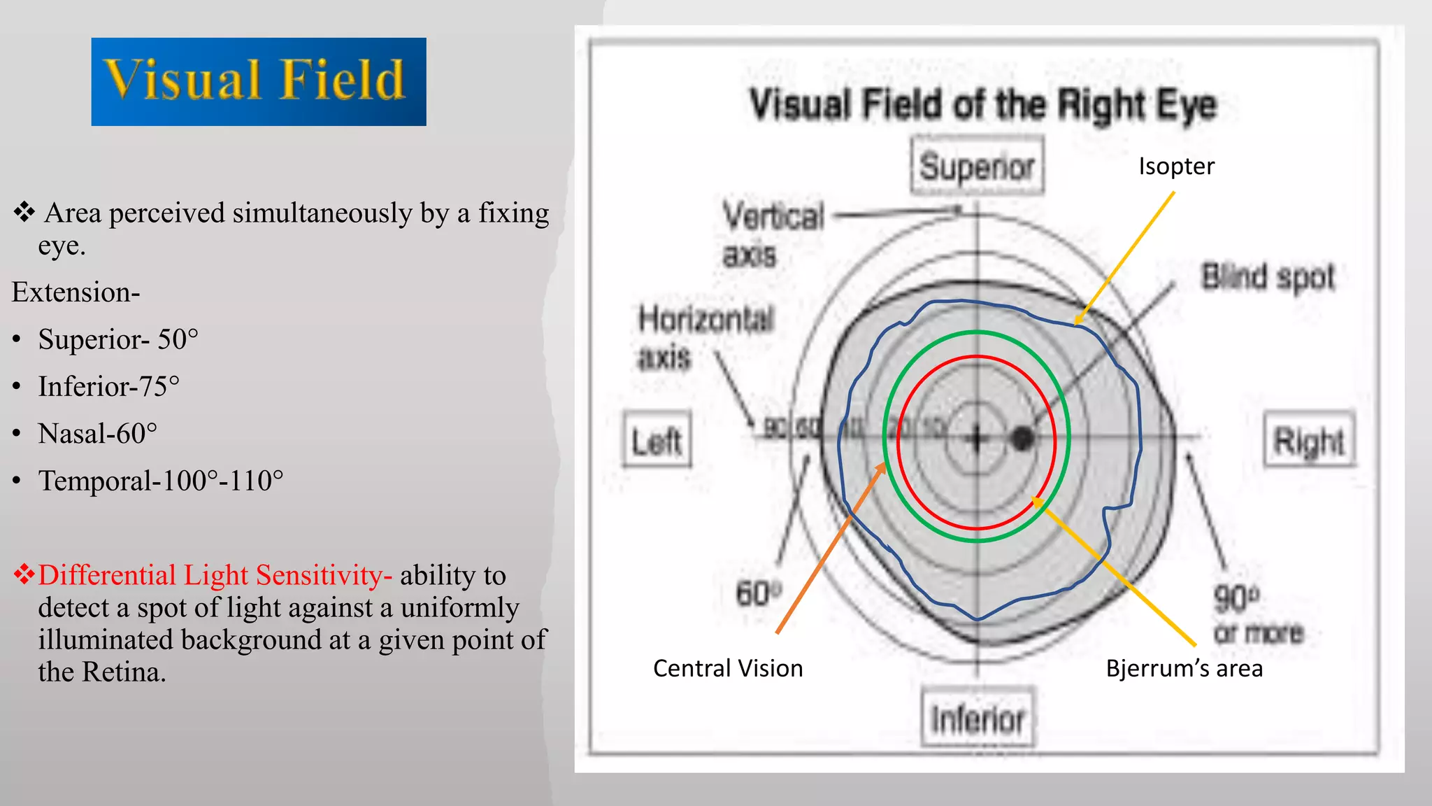 Automated Perimetry | PPTX