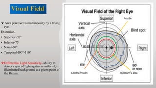 Automated Perimetry | PPTX