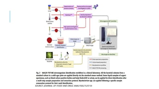 Automated system for bacterial identification | PPTX