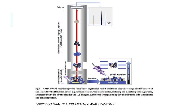 Automated system for bacterial identification | PPTX