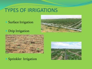 automatic-irrigation-system-ppt.pptx
