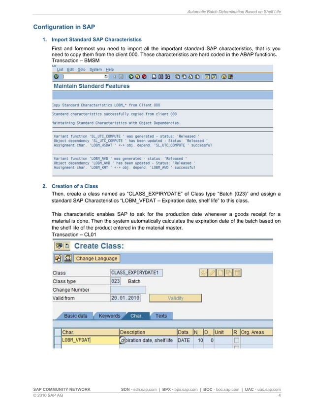 SAP Automatic batch determination | PDF
