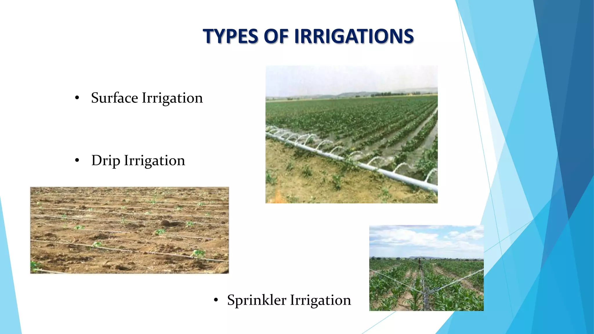 Automatic irrigation system by using 8051 | PPTX