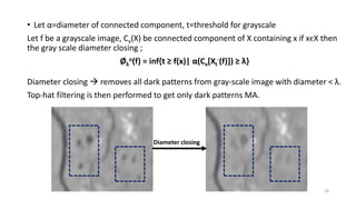 Automatic microaneurysm detection walter et. al. | PPTX