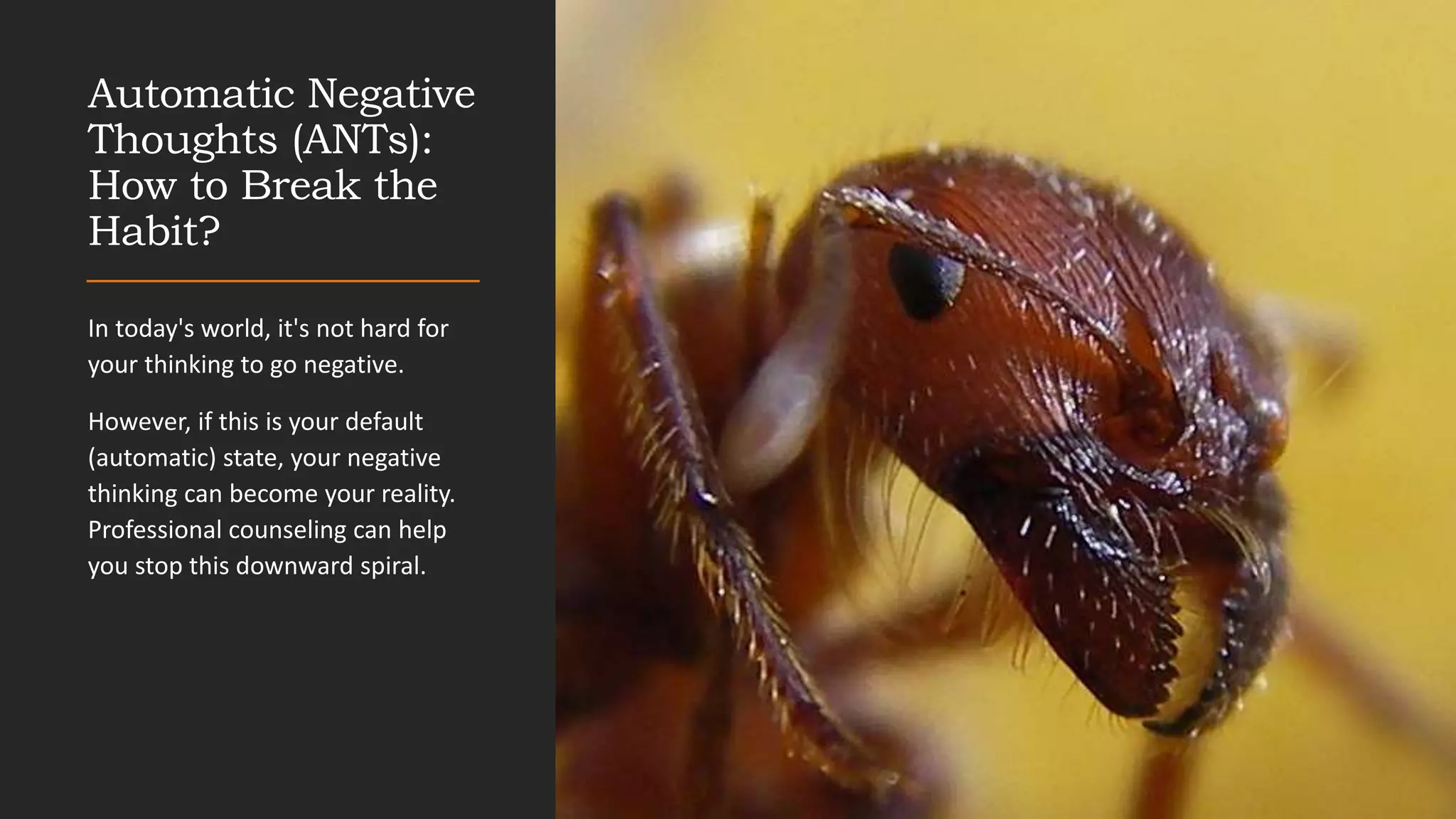 Automatic negative thoughts (ANTs) | PPT