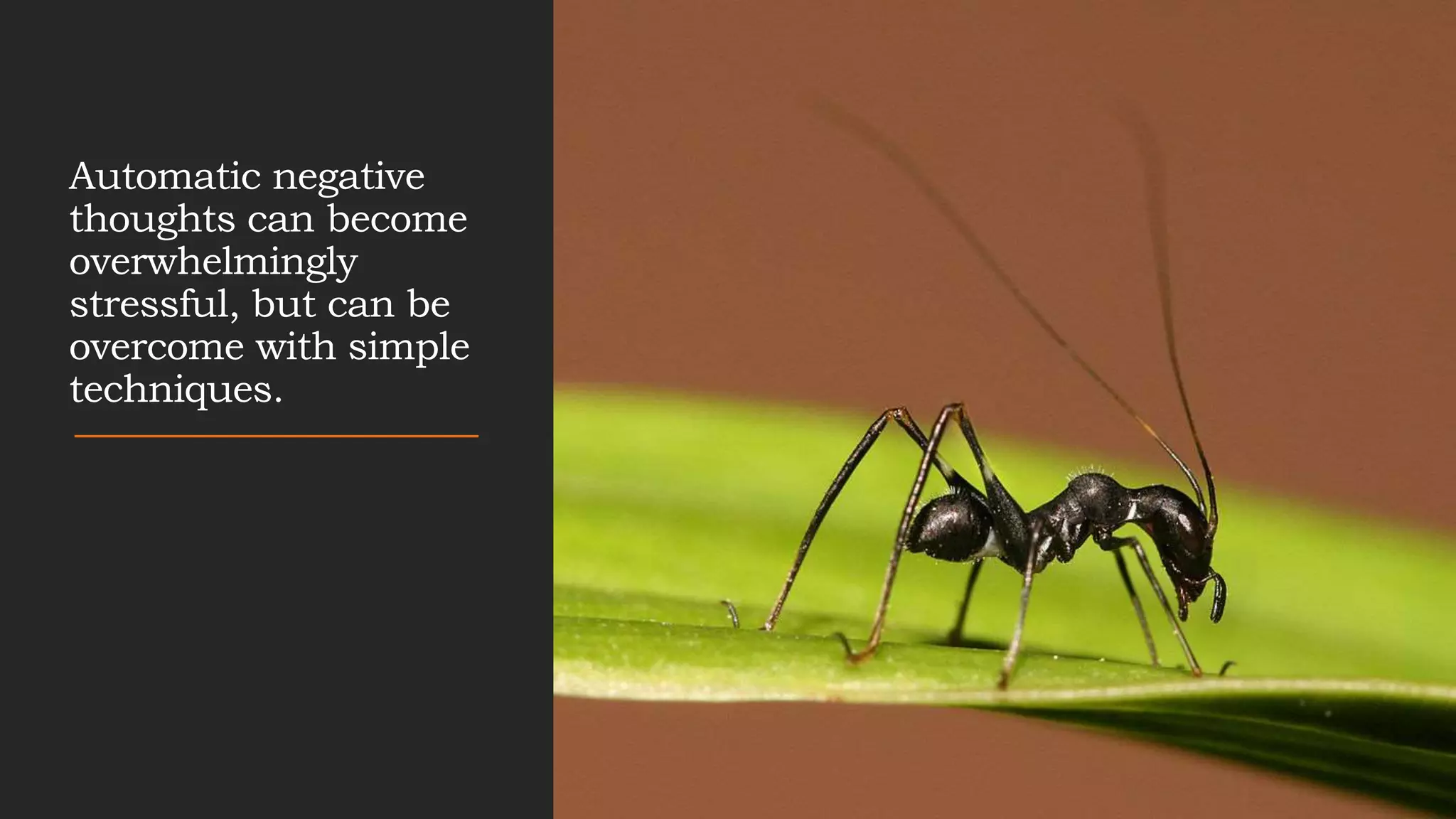 Automatic negative thoughts (ANTs) | PPTX