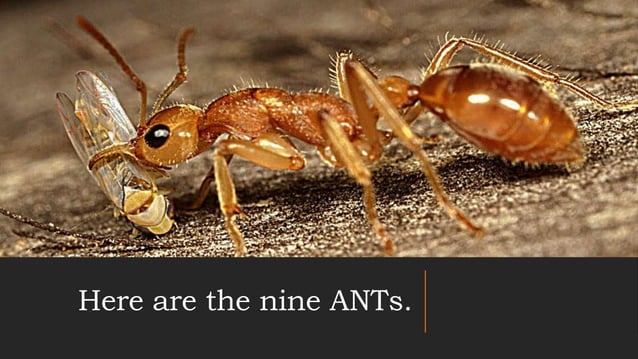 Automatic negative thoughts (ANTs) | PPTX