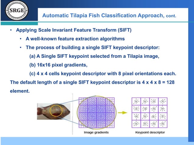 Automatic Nile Tilapia Fish Classiﬁcation Approach using Machine ...