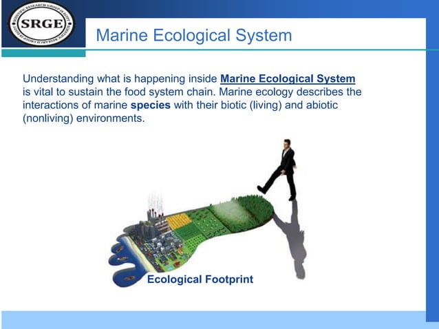 Automatic Nile Tilapia Fish Classiﬁcation Approach using Machine ...