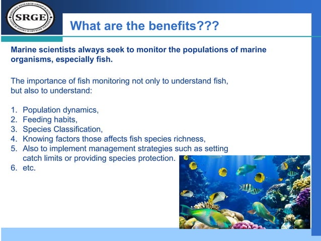 Automatic Nile Tilapia Fish Classiﬁcation Approach using Machine ...