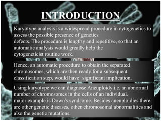 Automatic segmentation and disentangling of chromosomes in q band image ...