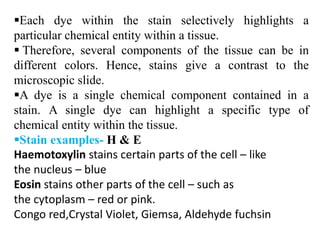 Automatic Stainer & Screener technique.pptx