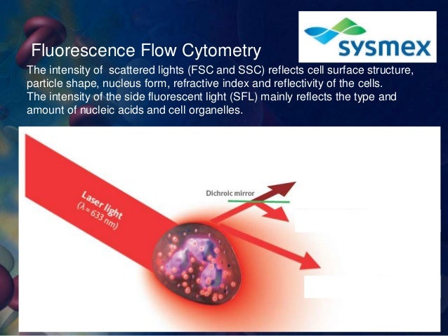 Automation in hematology