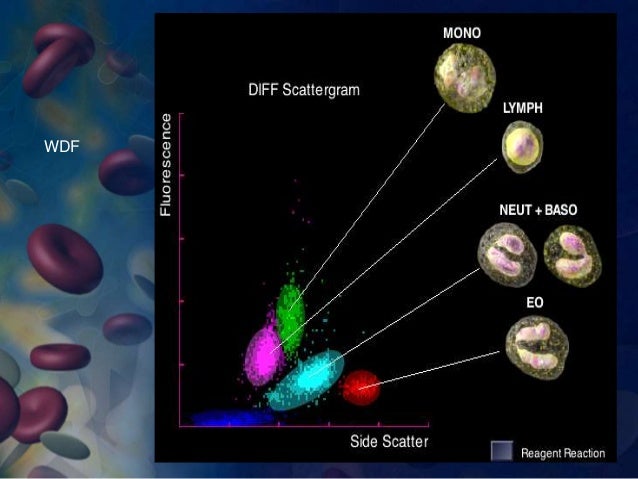 Automation in hematology