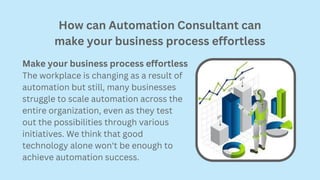 Automation Consultant.pdf