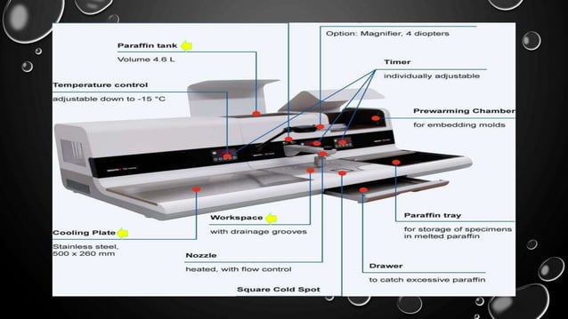 Automation histopathology | PPTX | Chemistry | Science