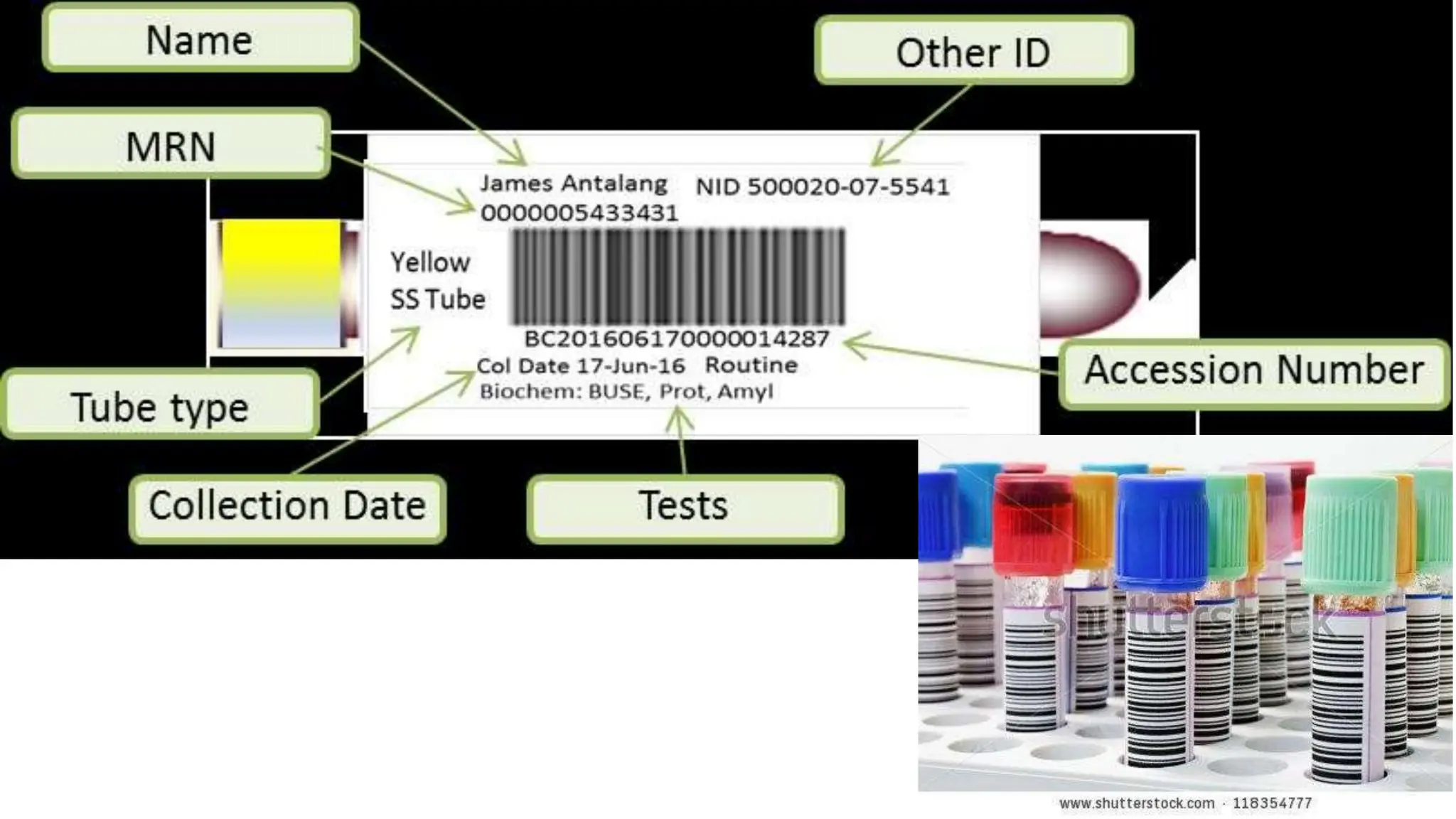Automation in Clinical Biochemistry.pptx