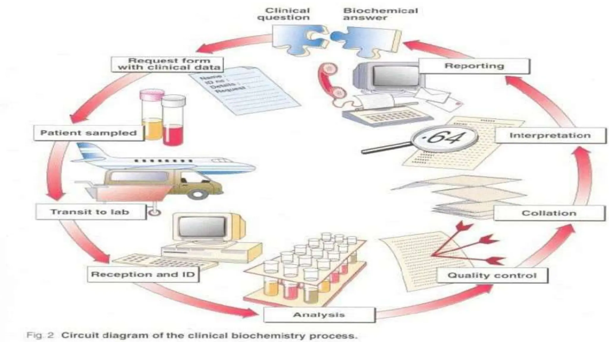 Automation in Clinical Biochemistry.pptx