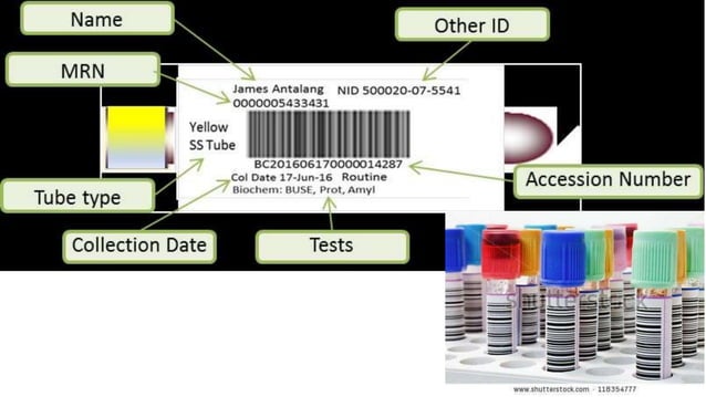 Automation in Clinical Biochemistry.pptx | Chemistry | Science