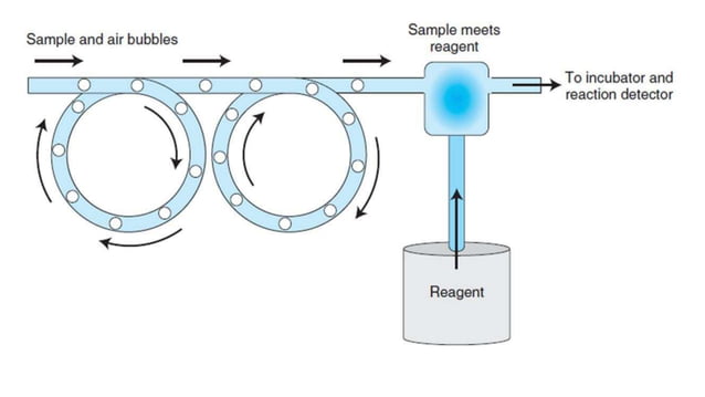 Automation in Clinical Biochemistry.pptx | Chemistry | Science
