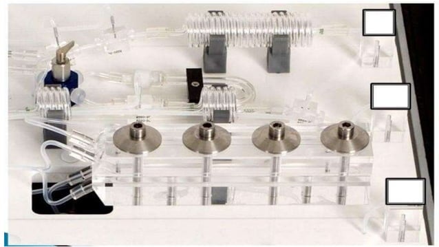 Automation in Clinical Biochemistry.pptx | Chemistry | Science