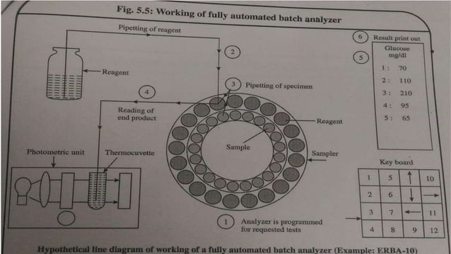 Automation in Clinical Biochemistry.pptx | Chemistry | Science