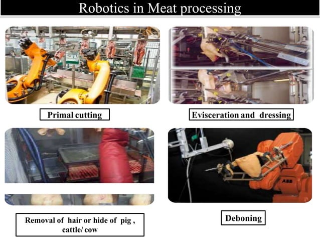 Automation in food industry | PPTX
