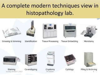 Automation in histopathology or advance technology in histopathology ...