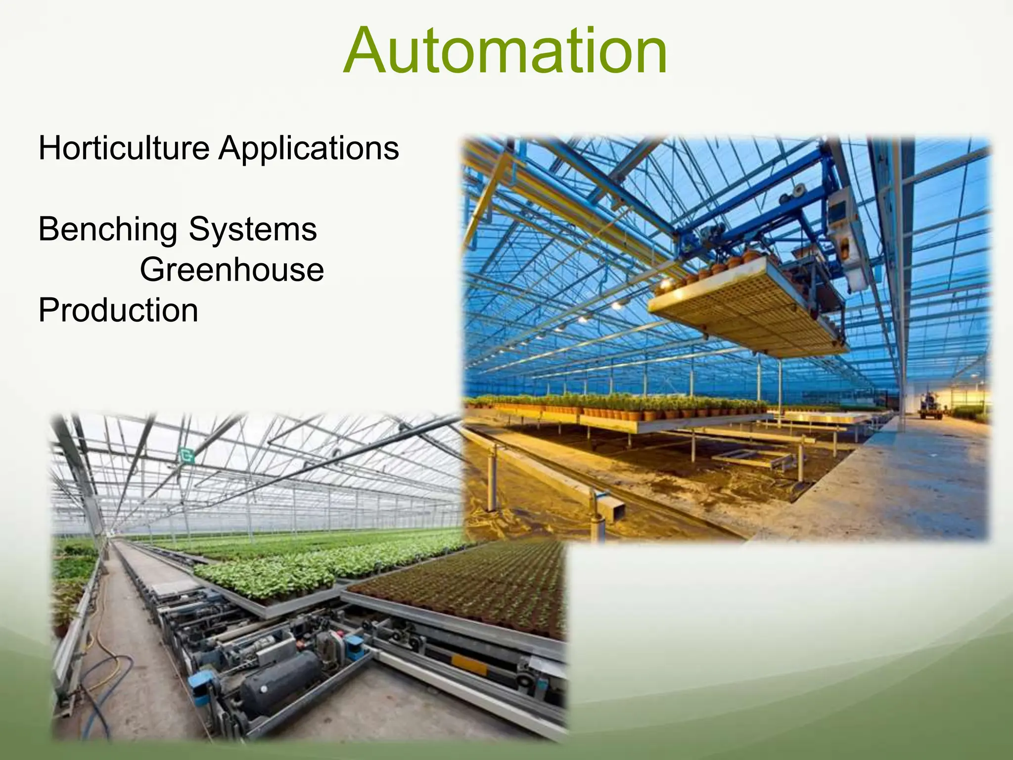 Automation_in_the_Greenhouse_Horticulture_Presentation (1).pptx