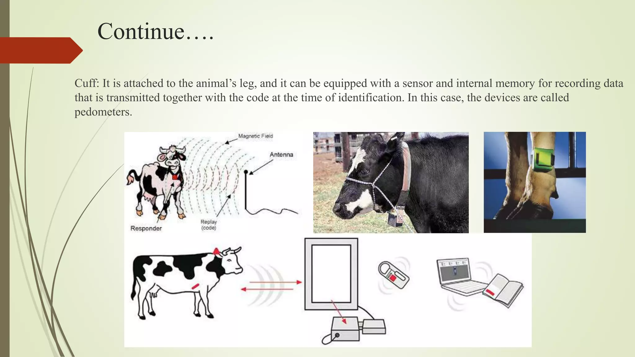 Automation of livestock production system | PPTX