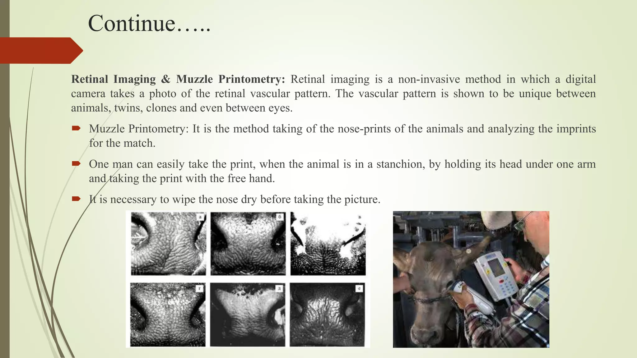 Automation of livestock production system | PPTX