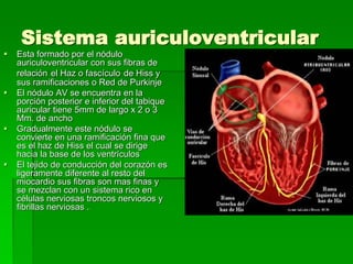 automatismo-cardiaco-2 (1).ppt