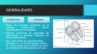 AUTOMATISMO CARDIACO.pptx