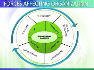 Automobile Industry - Forces affecting organisation (Contemporary ...