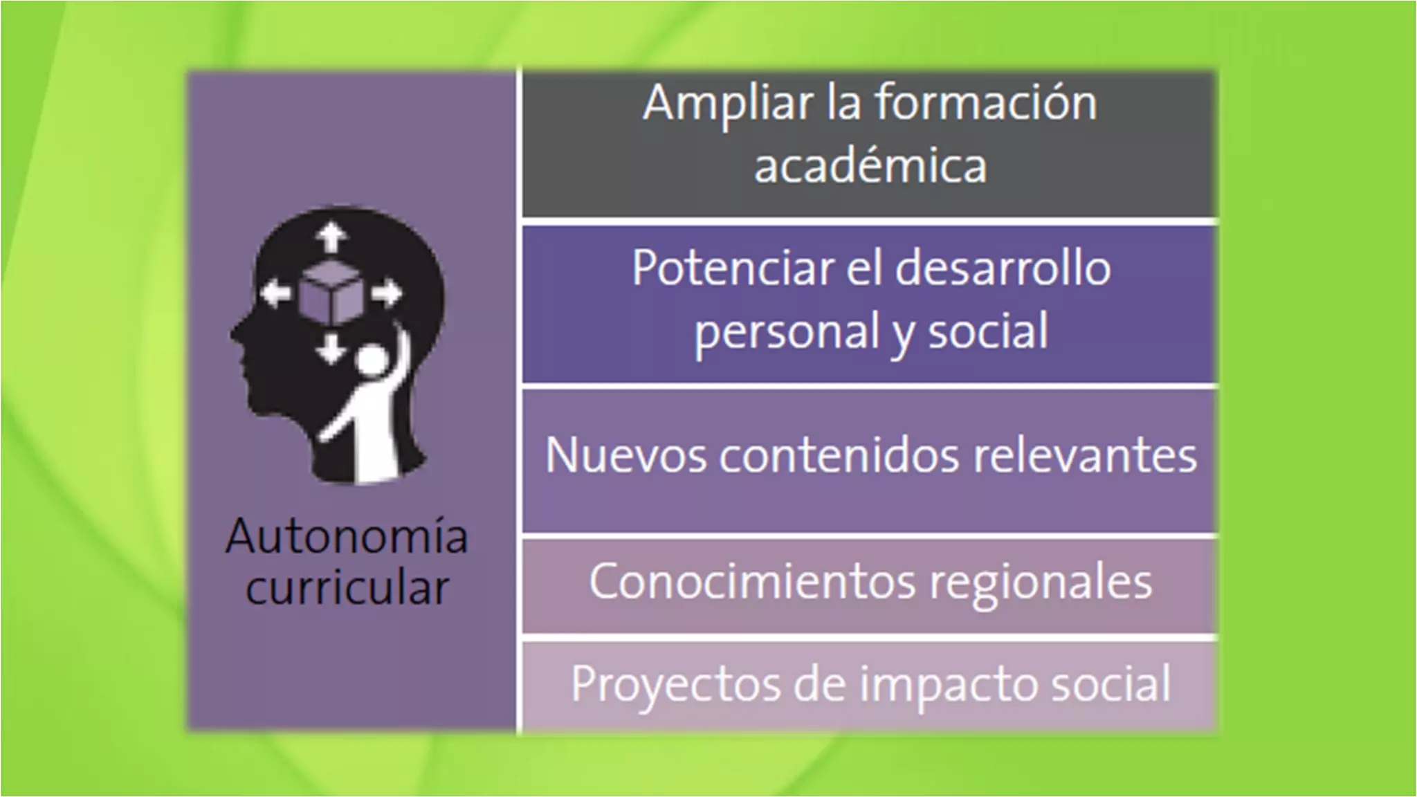 Autonomia curricular | PDF