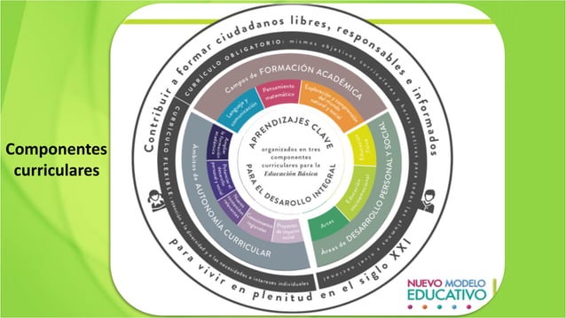 Autonomia curricular | PPT