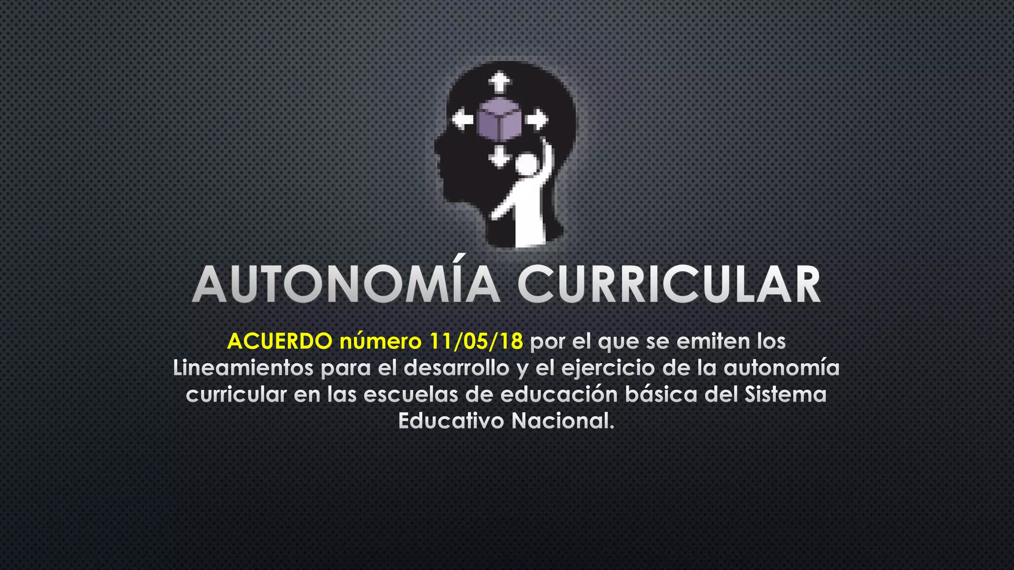 Autonomia curricular lineamientos | PDF