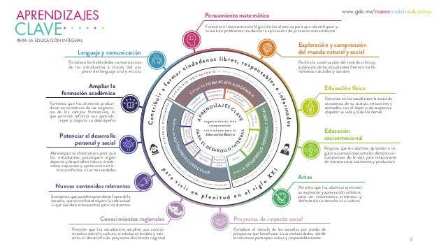 Autonomia curricular nuevo modelo educativo