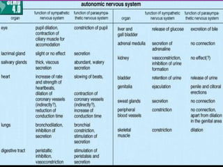 autonomic-dysfunction causes and its clinical features.ppt