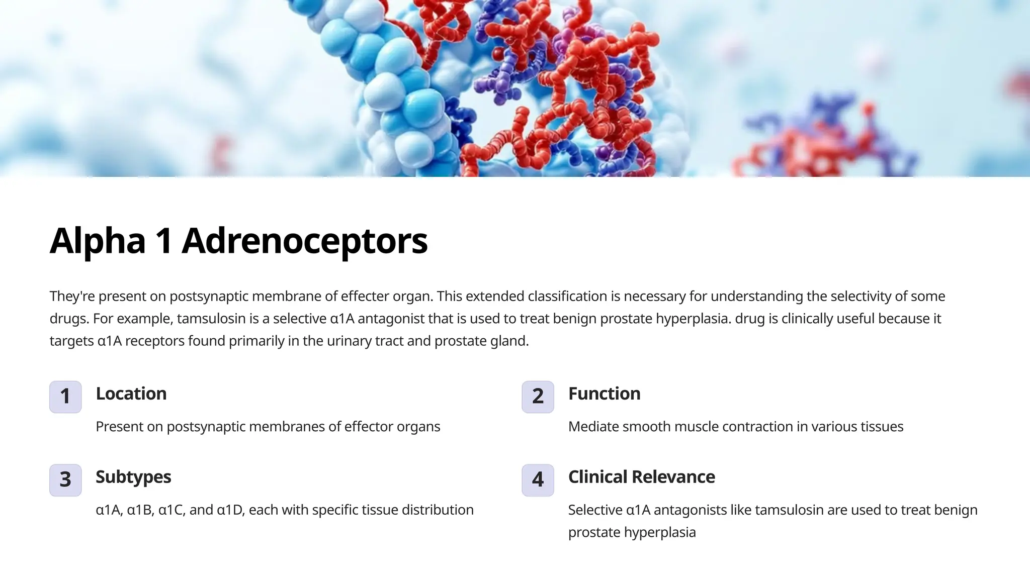 Autonomic-Nervous-System-Adrenergic-Agonists.pptx