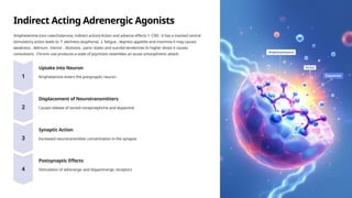 Autonomic-Nervous-System-Adrenergic-Agonists.pptx