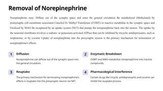 Autonomic-Nervous-System-Adrenergic-Agonists.pptx