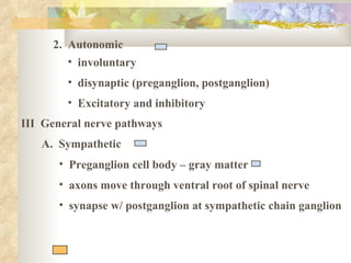 Autonomic Nervous System | PPT