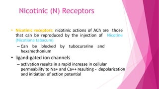 autonomic drugs ANS Lec 1.pptx
