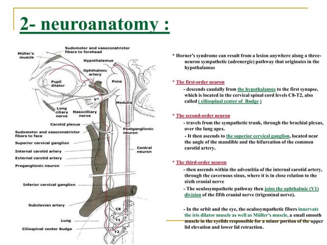 AUTONOMIC EYE PHENOMENA.pptx